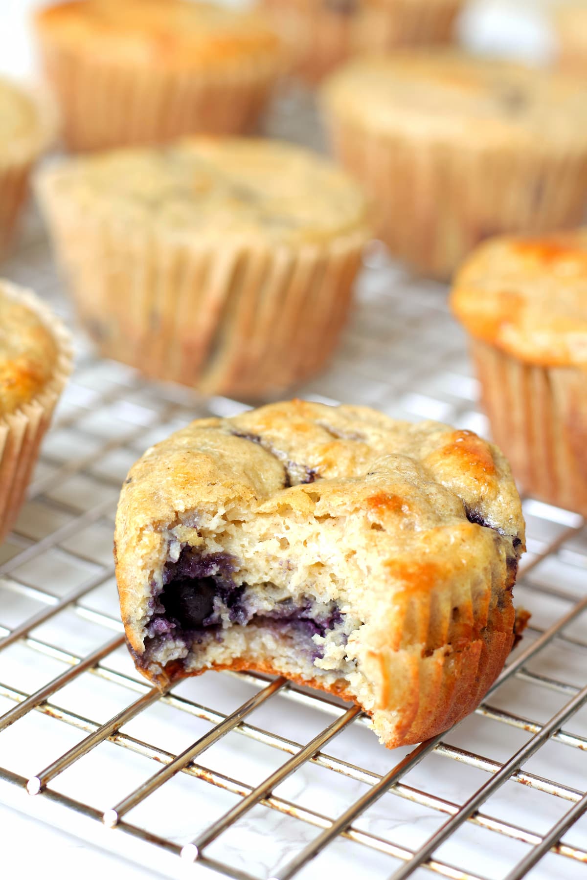 High Protein Blueberry Cottage Cheese Muffins - Autumn Elle Nutrition