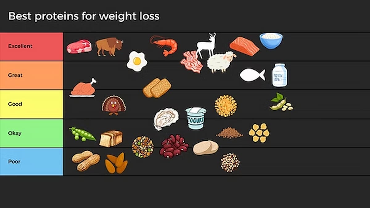 The 30 Best High Protein Foods For Weight Loss [Tier List] - Autumn ...
